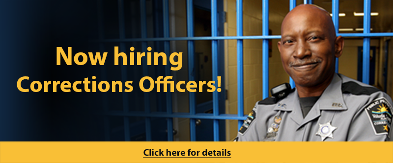 Florida Department of Law Enforcement Inmate Search: Find Inmates ...