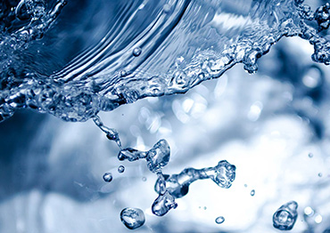 Volusia County Government Online