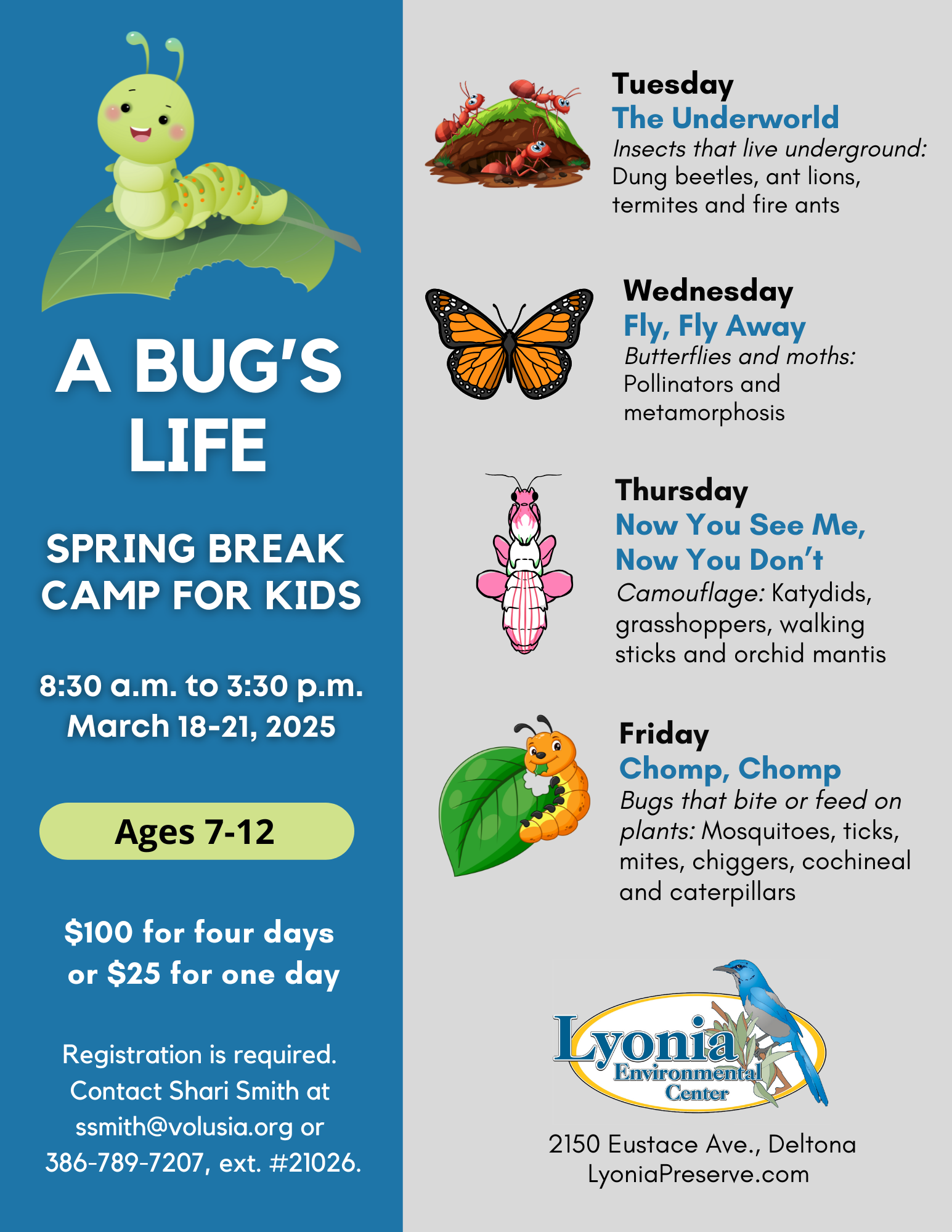 Camps, Programs and Field Trips