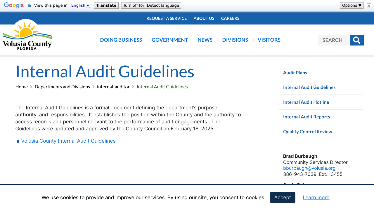 Internal Audit Guidelines